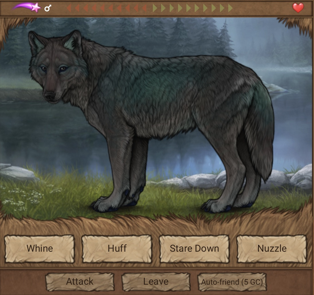 New Befriended Wolf |:| Wolvden